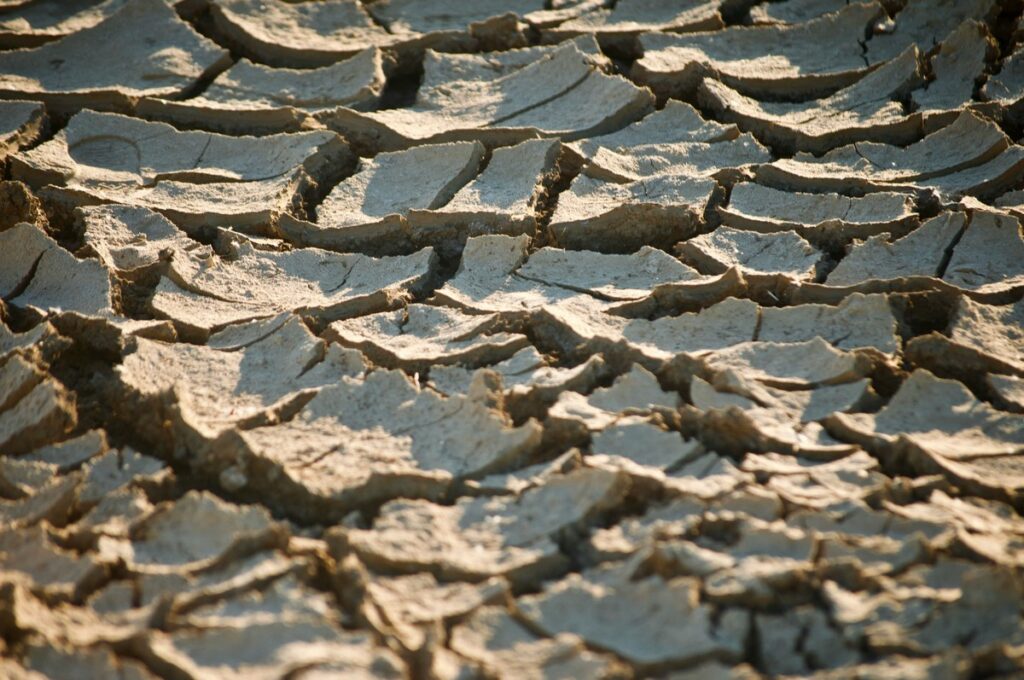 El Nino: Magyarország sem ússza meg: globális forróságra ...